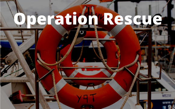 Operation Rescue by KPE Research Solutions in Scottsdale, AZ - Alignable