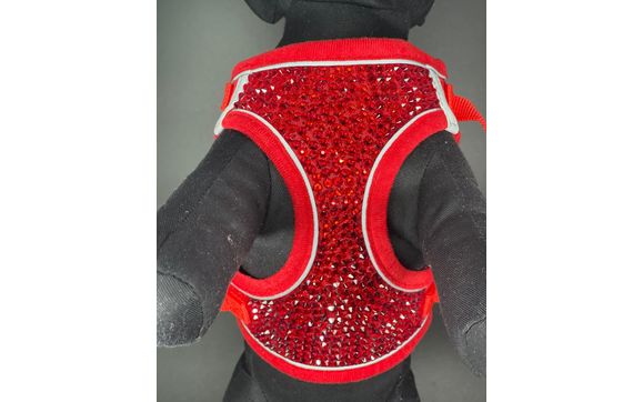 Custom Rhinestone Harness by Ronald Wilson in Los Angeles, CA - Alignable