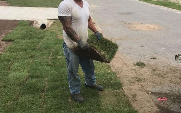 Sod Instalation by Key Irrigation in Panama City, FL - Alignable