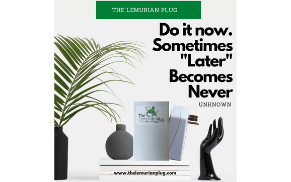 Our Popular Lemurian Plug by The Lemurian Plug in Mesa, AZ - Alignable