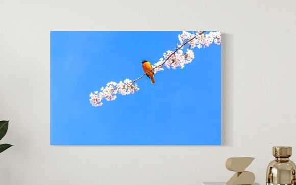 Modern Wall Art by Srini Balram Photography in Toronto, ON - Alignable