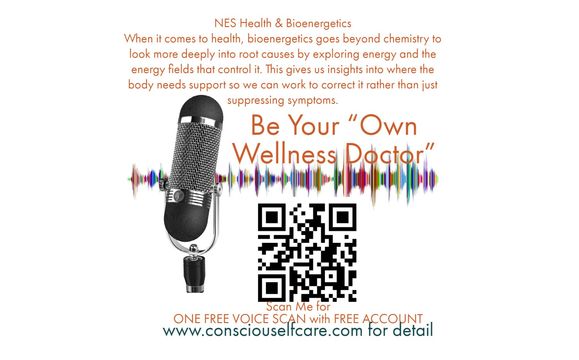 Quantum NES Health Human Body Field Scan by The Ark of Self-Healing and ...