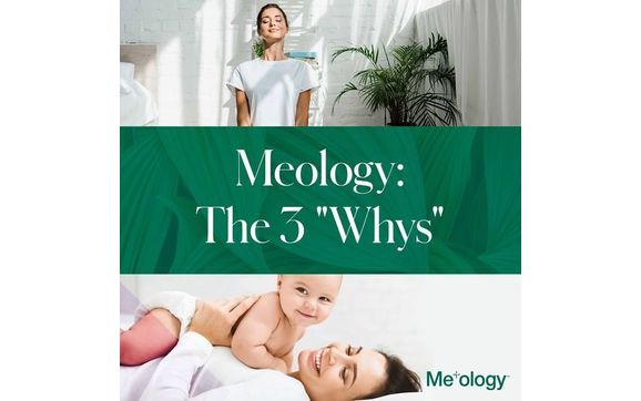 Meology: The 3 Whys by Shaklee Ambassador in Houston, TX - Alignable