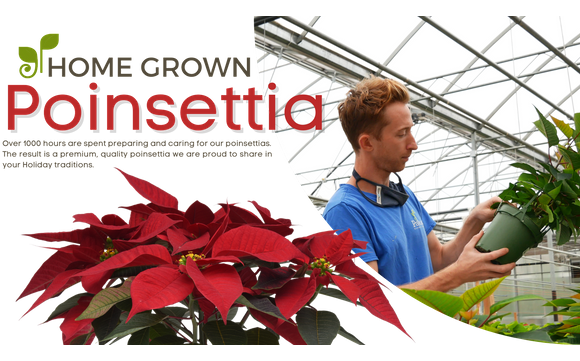 Sign & Banner Design by Ryan Ferland Design in London, ON - Alignable