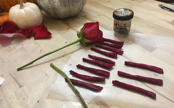 Philly Rose’s Rose blunt Fanta leaf by Philly Rose in Philadelphia, PA ...