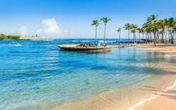 Full Service Travel Advisor by Stone Cold Travel in Jacksonville, FL ...