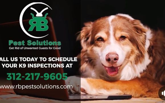 K9 Inspections by R.B. Pest Solutions in Chicago, IL - Alignable