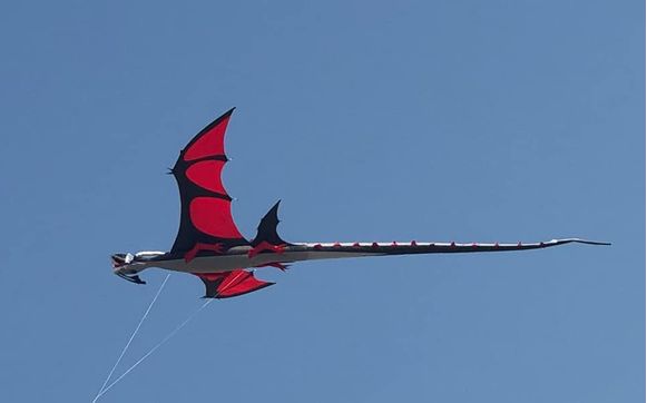 Giant Dragon Kite - Black (Item # 46216) by Premier Kites & Designs in ...