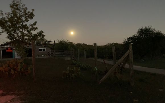 Roddy Tree Ranch - Ingram Area - Alignable