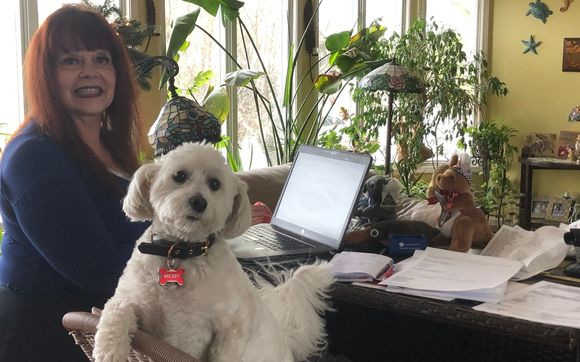 Auto Insurance by Conover Beyer Associates in Wall Township, NJ - Alignable