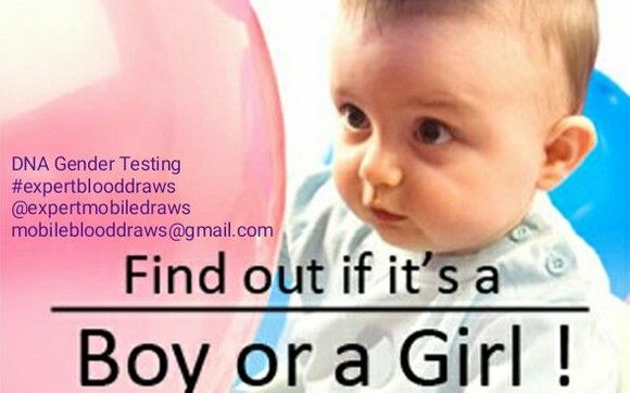 DNA Early Gender Testing by Expert Mobile Blood Draws in Cape Coral, FL ...