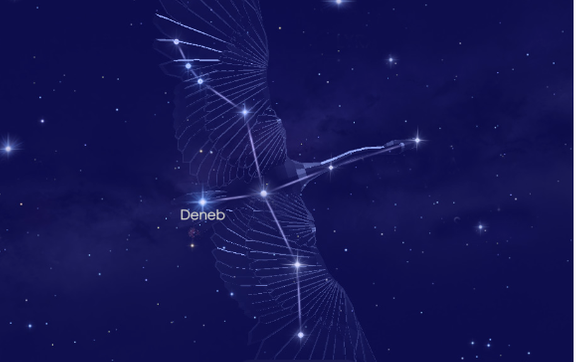 Deneb, LLC-USA - Boulder, CO - Alignable