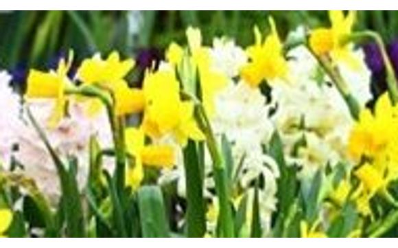 Employee group health insurance solutions by Mark E Snapp & Associates ...