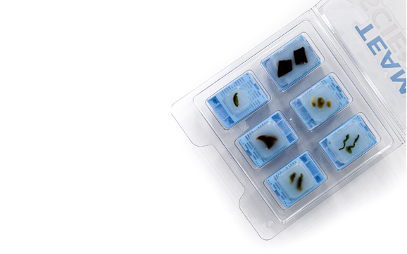 Tissue Blocks by Reference Medicine in Phoenix, AZ - Alignable