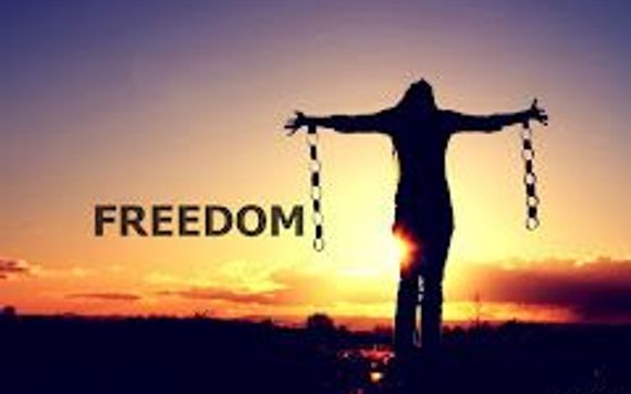 Finished Goods Distribution by Simple Freedom LLC in Phoenix, AZ ...