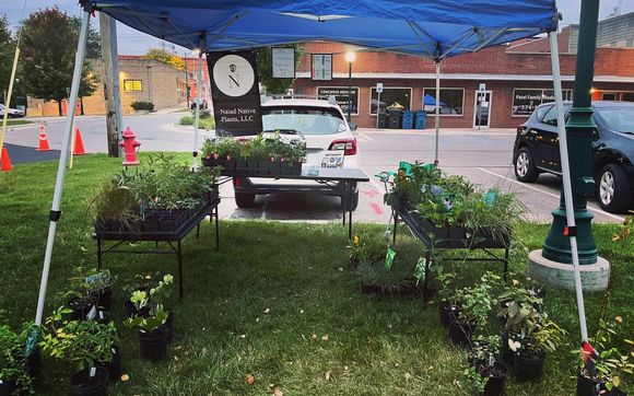 Naiad Native Plants @ the Plymouth Farmers Market by Naiad Native ...