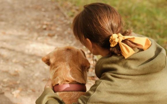 Volunteering Opportunities by People for Animal Wellbeing (PAW ...