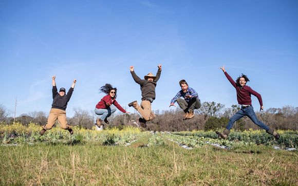 Community Supported Agriculture by Love is Love Cooperative Farm in ...
