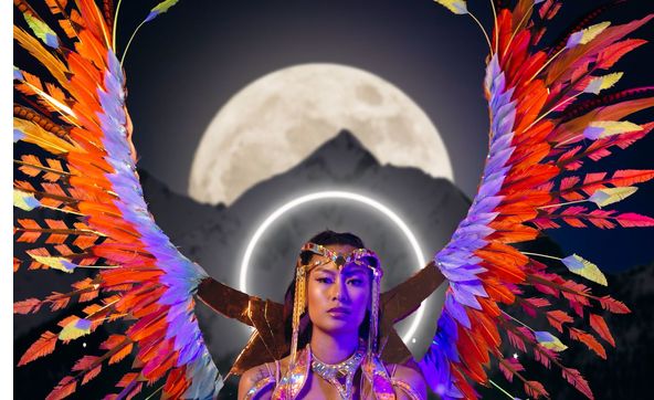 Trinidad Carnival Packages by No Sleep Mas Inc in New York, NY - Alignable