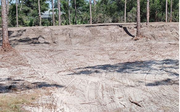 Kings Forestry mulching and site preparation - Alignable