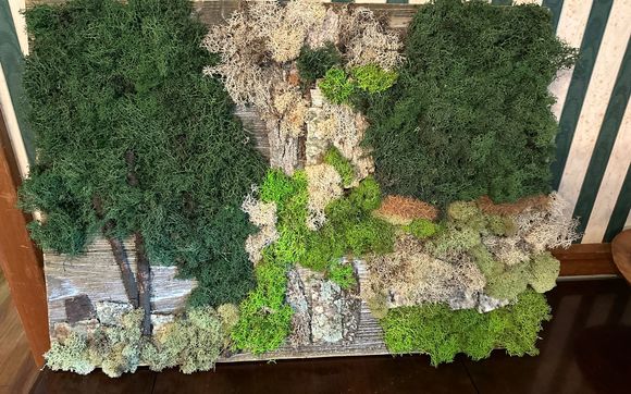Design of landscape beds; preserved moss decor by Knoxville Interior ...