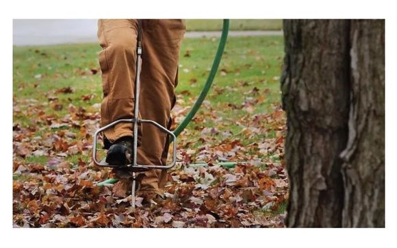 Deep Root Fertilization by Marula Tree Management in Charlotte, NC ...