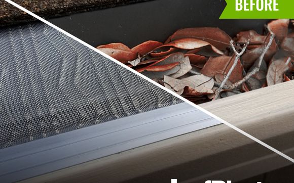 Bulldog Gutter Covers by Big Mikes Gutters in Minneapolis, MN - Alignable