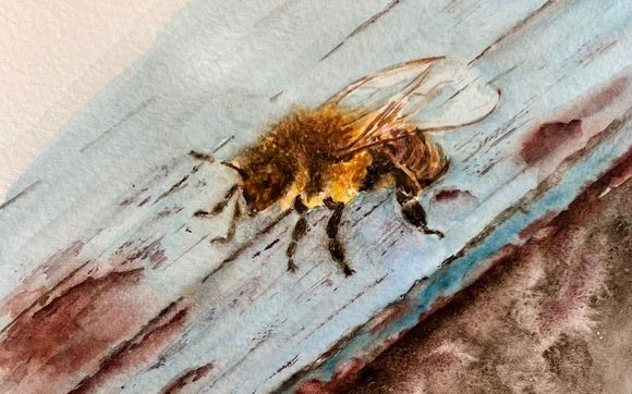 Honey Bee by Debbie Ebeling Art in Houston, TX - Alignable