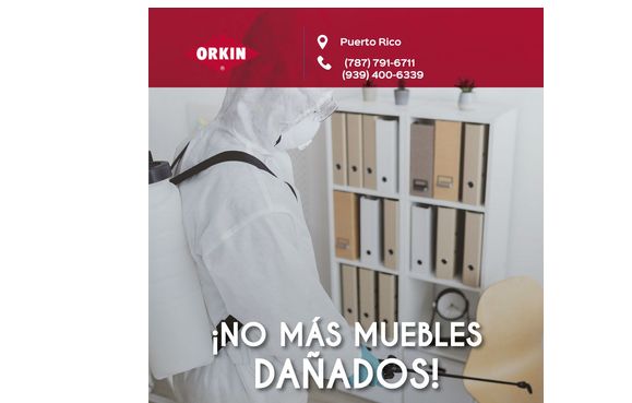 Control de Termitas (Comejen) by Orkin Puerto Rico in Catano Area ...