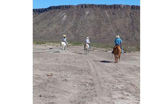 Horseback riding, rock hunting by Larremore Ranches in Alpine, TX ...