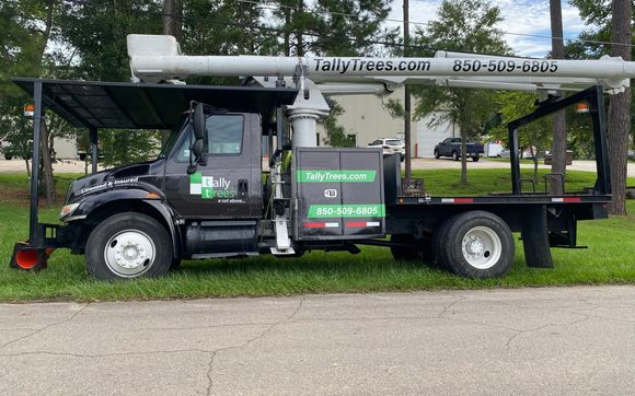 Tree Cutting Service by Tally trees in Tallahassee, FL - Alignable