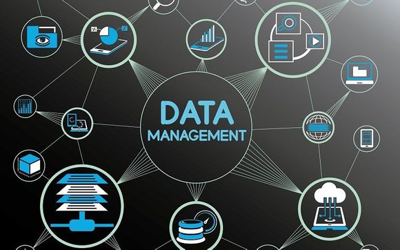 Reporting / Dashboards by FortisureIT in Green, OH - Alignable