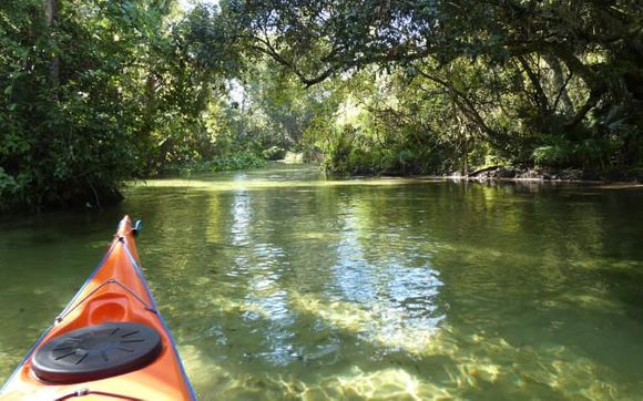 Emerald Cut Kayak Adventure by Venture Outdoors in Orlando, FL - Alignable