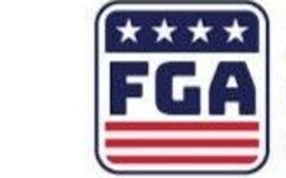 Federal Contracting Consultation by Federal Government Advisors in ...