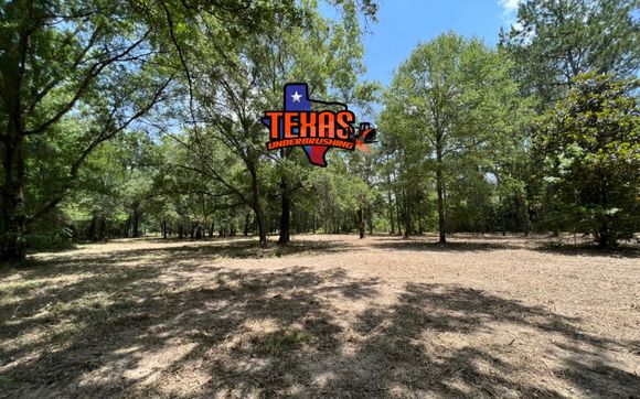 Underbrush Mulching by Texas Underbrushing, LLC in Cleveland, TX ...