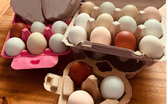 Eggs: organic, non-refrigerated, unwashed by Hoops and Hooves Farm in ...