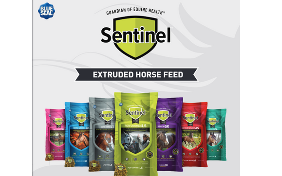 Blue Seal Sentinel Feeds by Fox Chase Feed & Supply in Southampton, NJ ...