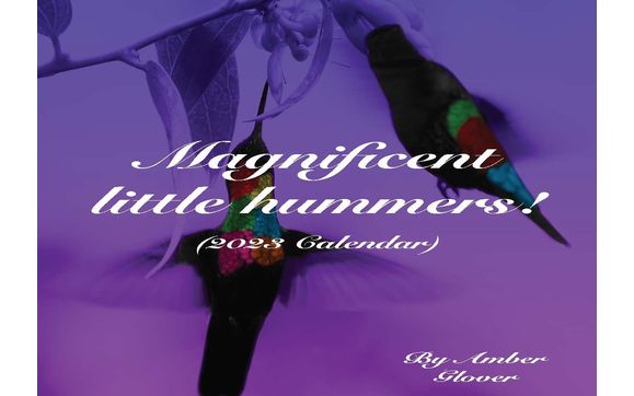 Magnificent little hummers! by Amber Glover Freelance Graphic Designer ...