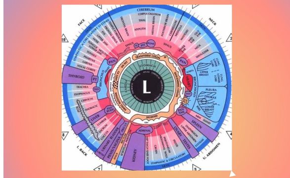 Iris Mapping and Nutrition by Shine! Iridology in Springfield, MO ...