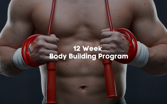12 week Body Transformation Program by Life Of Lifting in Glendale, CA ...