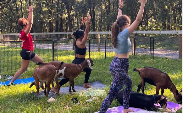 Outdoor Yoga Classes by Downward Goat in Archer Area - Alignable