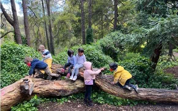 Afterschool forest play and STEAM class by Always Learning & Growing ...