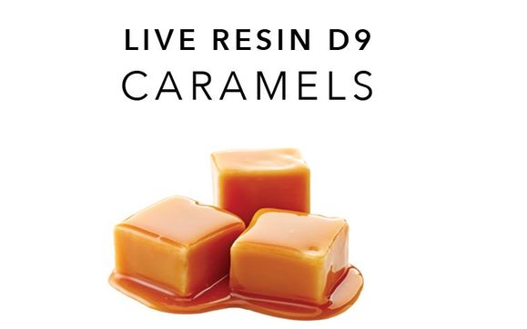 Live Resin D8 DayTrip Disposable - Garlic Jam by Modern Herb Co in ...