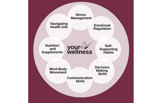 Wellness Support Sessions by Sunset Moth Wellness in Washington, DC ...