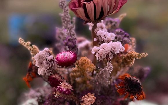 Small Wonders Garden Farm by Small wonders garden farm in Linden Area ...