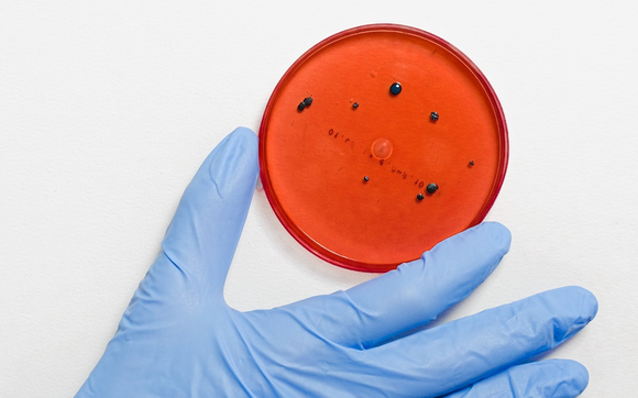 Mask, Gloves, Screens — All of Your Personal Protective Equipment Needs ...