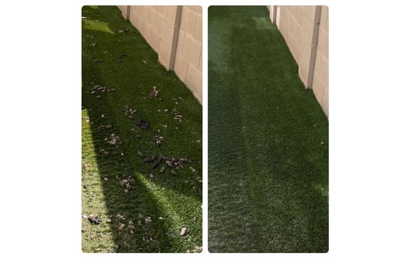 Dog Poop Removal by Poop Bandits in Phoenix, AZ - Alignable