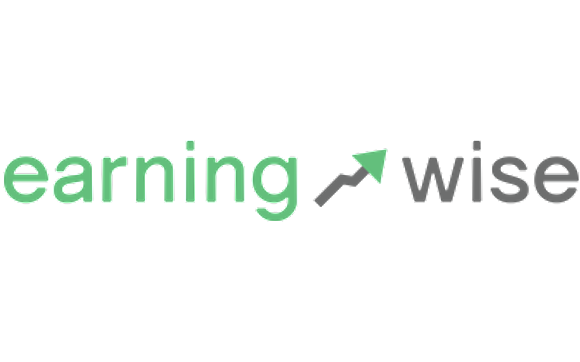 Website development and online Marketing by Earning Wise Digital ...