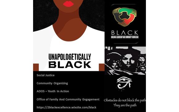 Community Programs by BLACK - Building Leadership And Community ...