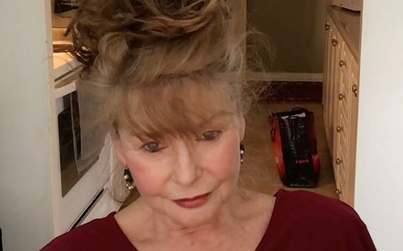 Digital Marketing by Bako Design in Ottawa, ON - Alignable